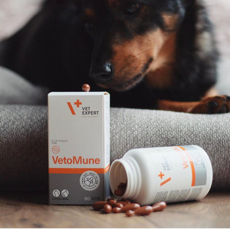Vet Expert VetoMune
