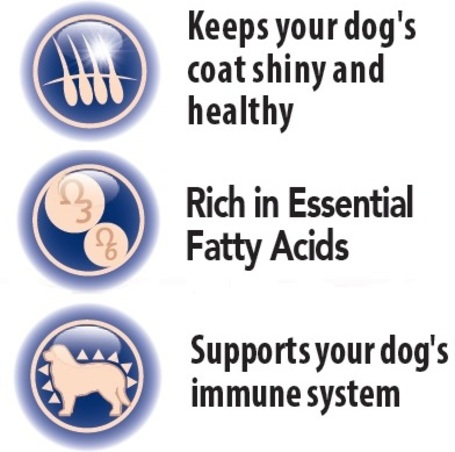 FitActive Fit-a-Skin bőr- és szőrregeneráló vitamin kutyáknak