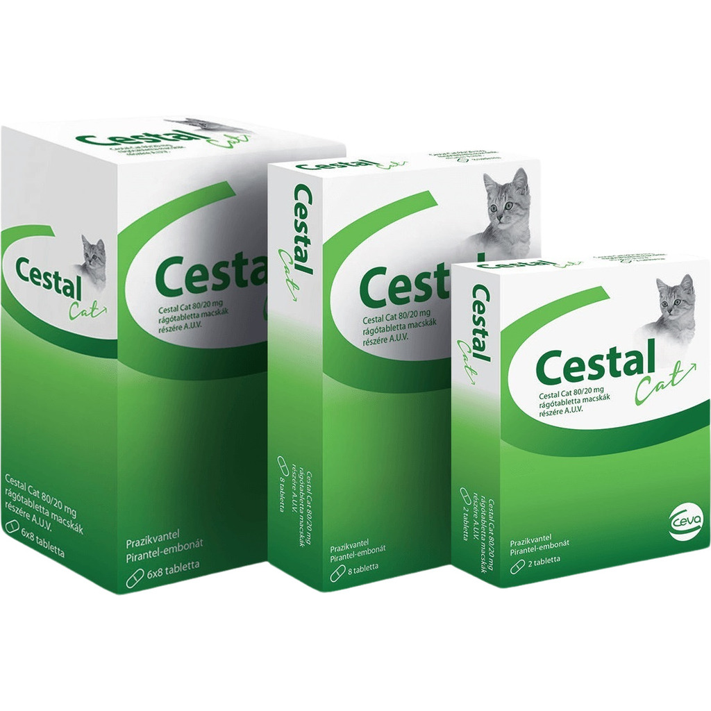 Cestal Cat rágótabletta