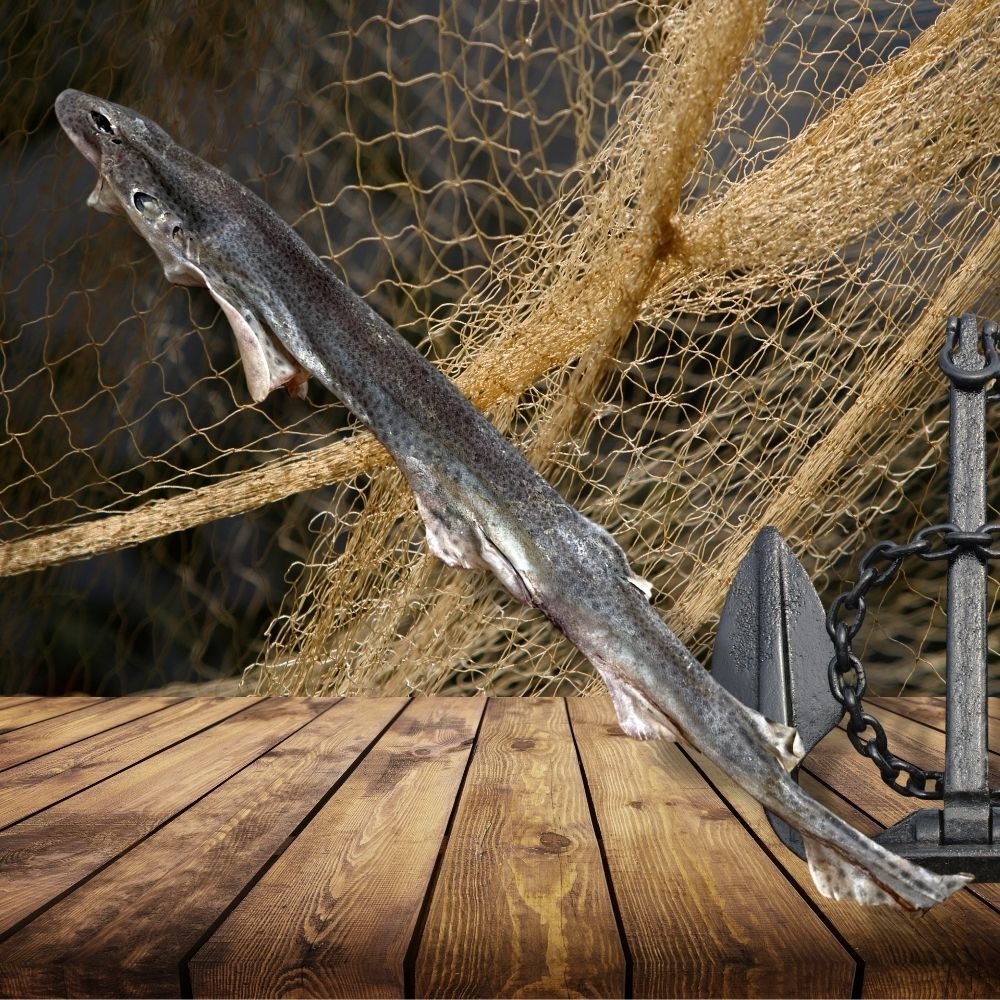 Barf Love egész cápa fogtisztító rágóka